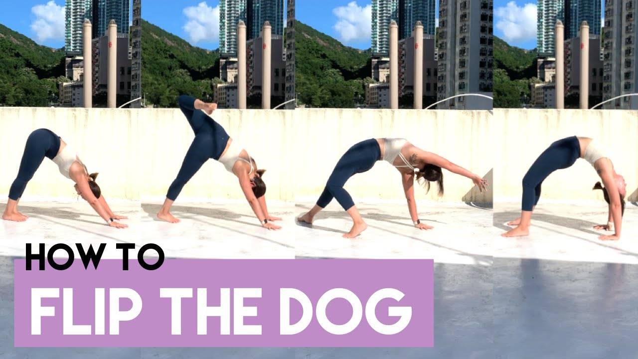 如何由下犬式到拱橋瑜伽教學，20分鐘流動瑜伽，後彎熱身 | How to flip the dog : from downward ...